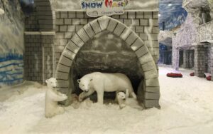 Snow World Noida Ticket Price And Timing, Ticket Booking , Best Photos ...